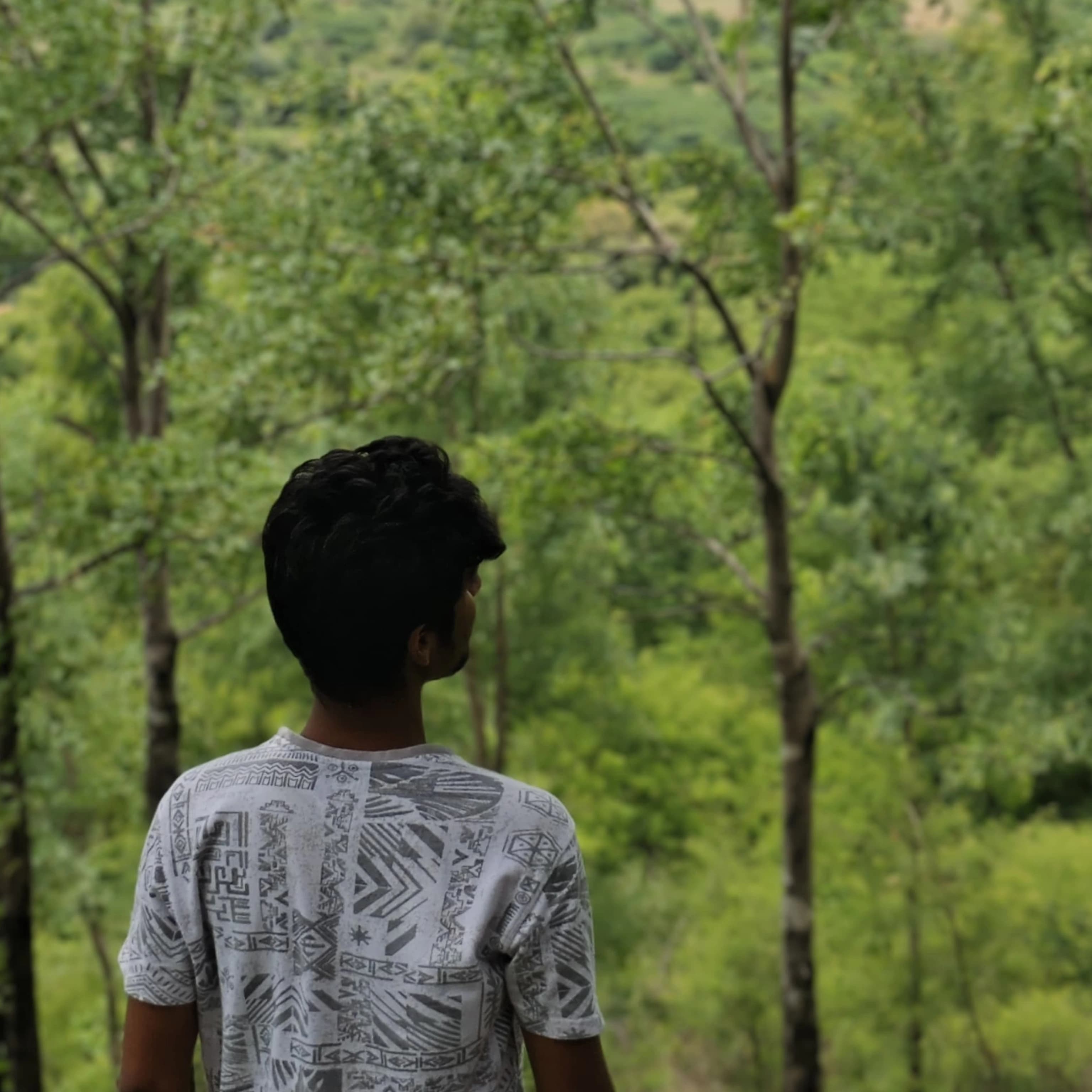 Forest And Their Management